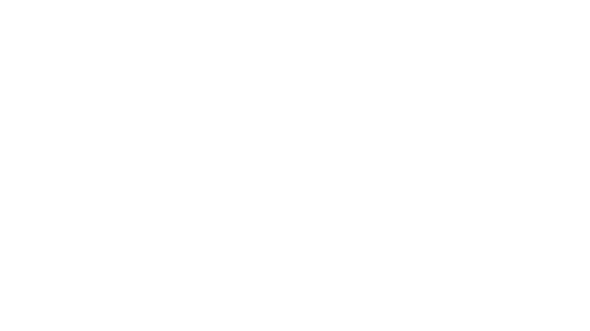 BAM Brand & Style Guide – Brains & Motion