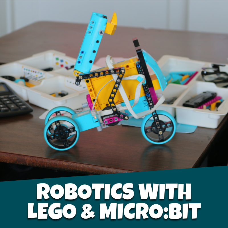 Robotics & Engineering Lab with LEGO & Micro:bit – Brains & Motion
