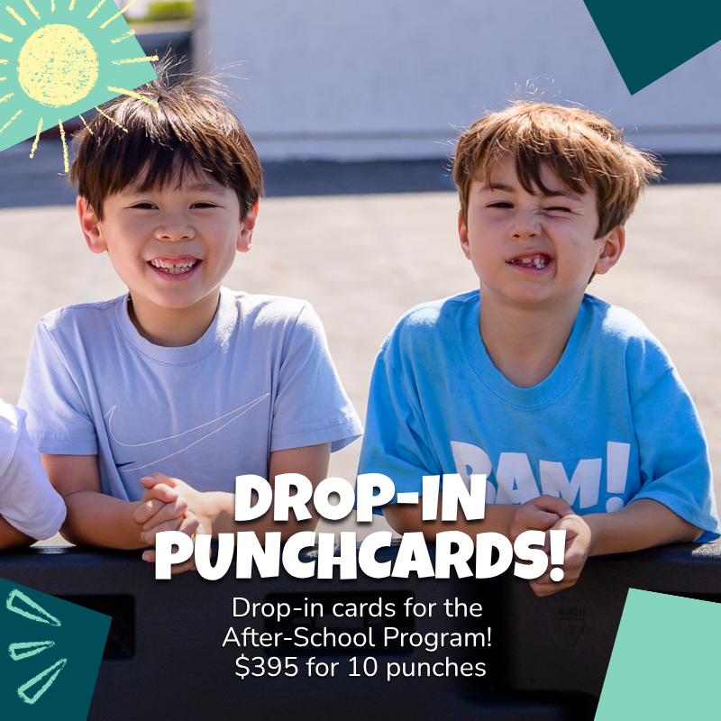 Drop-In Punch Cards – Brains & Motion